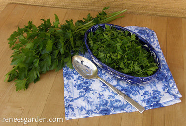 'Italian “Gigante” Parsley' Kitchen Herbs | Renee's Garden Seeds