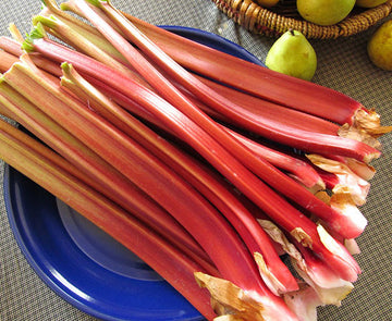 Bulbs & Plants – tagged "Rhubarb Roots" – Renee's Garden