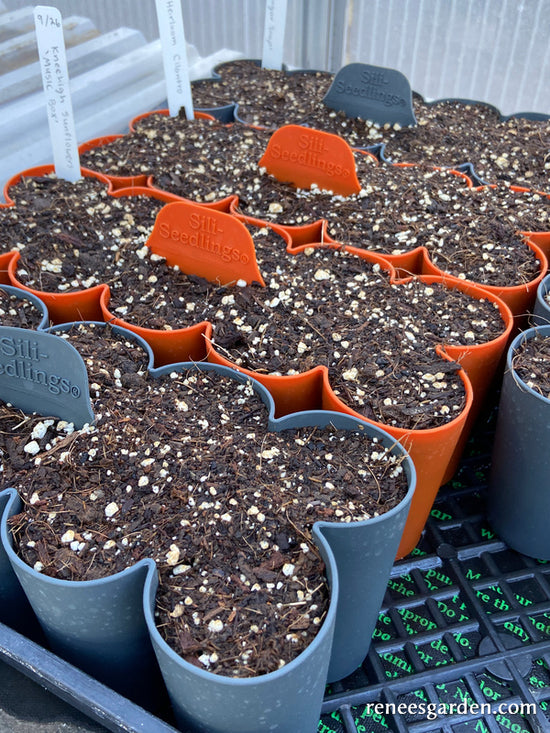 Sili-Seedlings Silicone Seed Starting Trays – Renee's Garden