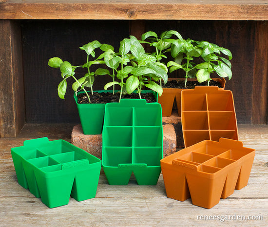 Sili-Seedlings Silicone Seed Starting Trays – Renee's Garden