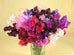 'Spencer Ruffled' Heirloom Sweet Peas – Renee's Garden