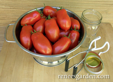 'Inca Jewels' Container Roma Tomato | Renee's Garden Seeds