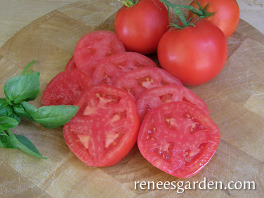 'Crimson Carmello' Top Flavor Tomato | Renee's Garden Seeds