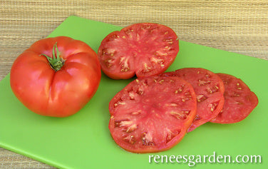 'Red Brandywine' Heirloom Tomato | Renee's Garden Seeds